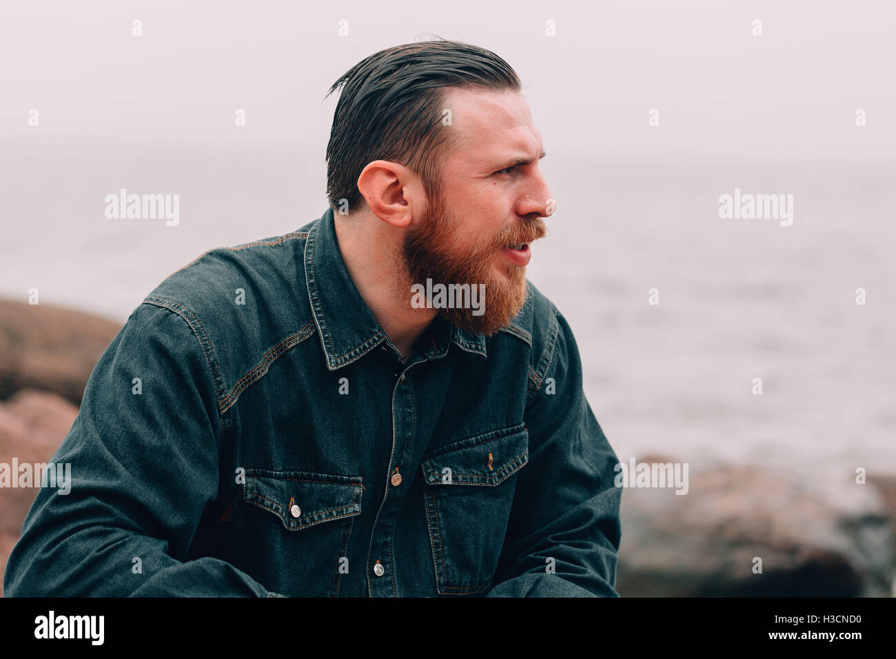 Severe bearded man Stock Photo - Alamy