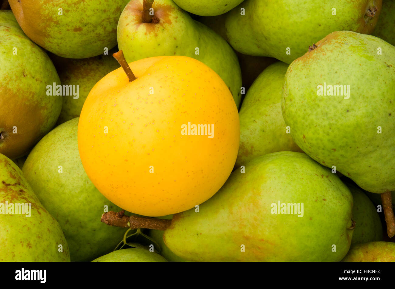 Asian pear hi-res stock photography and images - Alamy