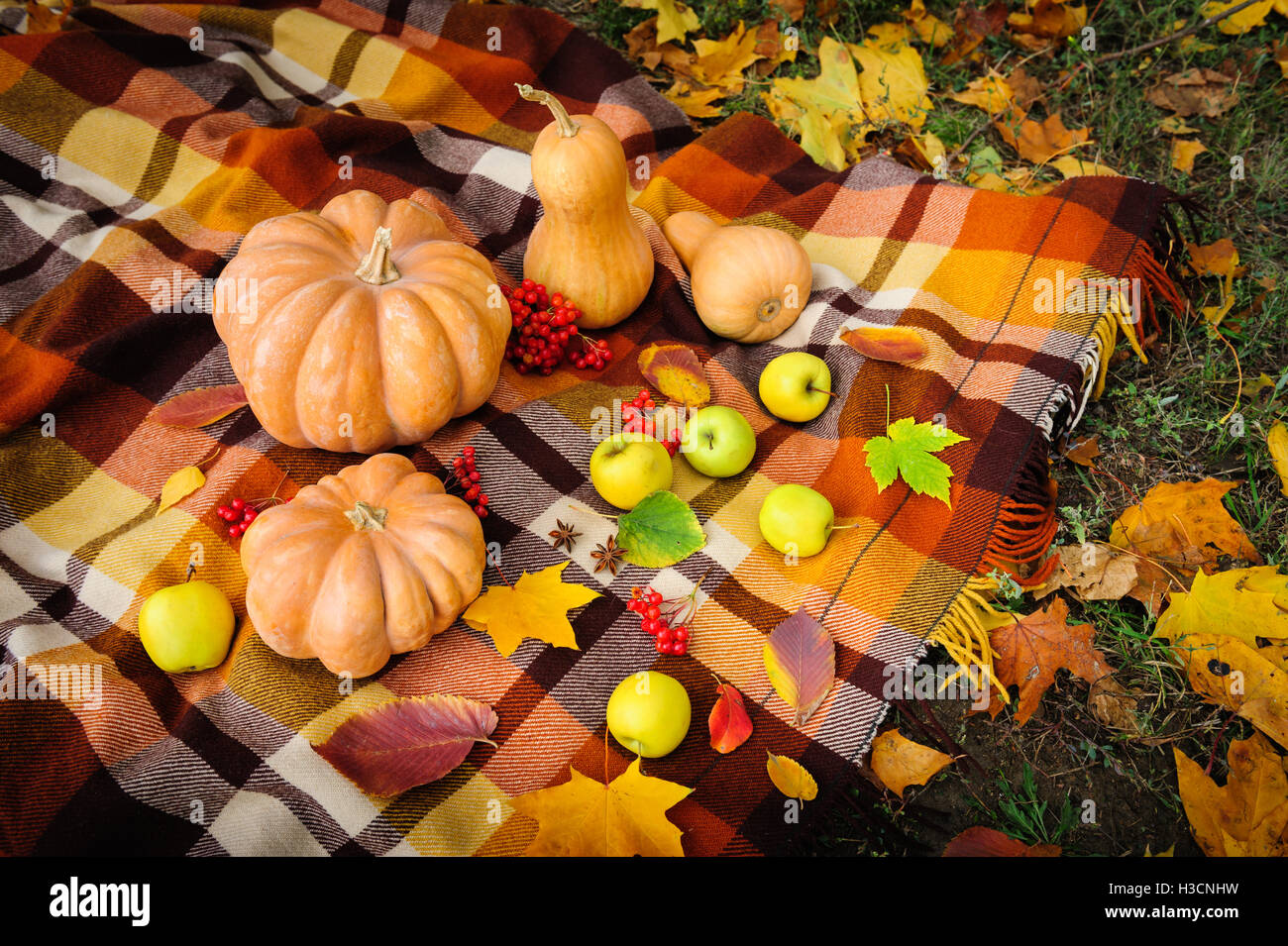 Autumn thanksgiving still life Stock Photo - Alamy