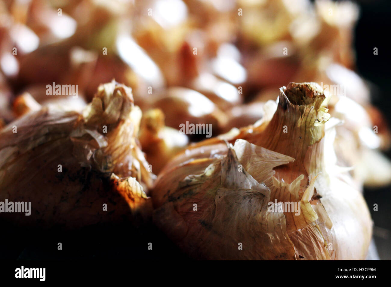Onion dry hi-res stock photography and images - Alamy