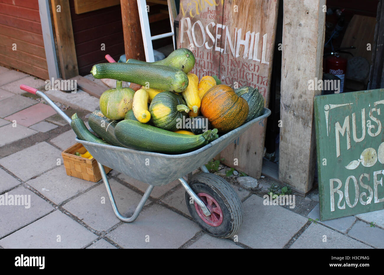 A wheelbarrow of squash Stock Photo - Alamy