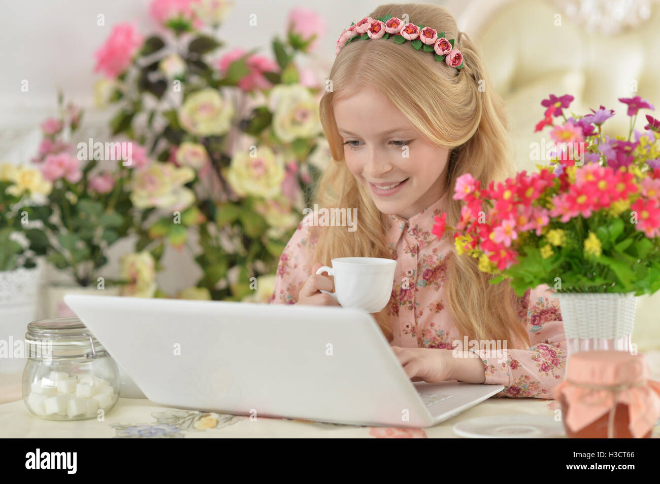 Little girl using computer Stock Photo - Alamy
