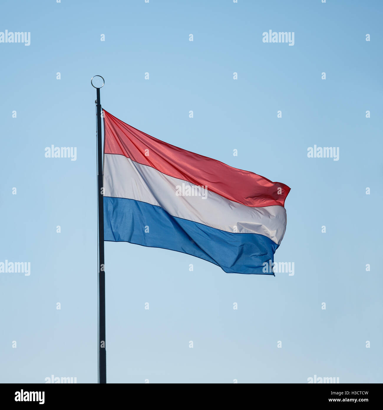 Flag of Netherlands on the blue sky background Stock Photo - Alamy