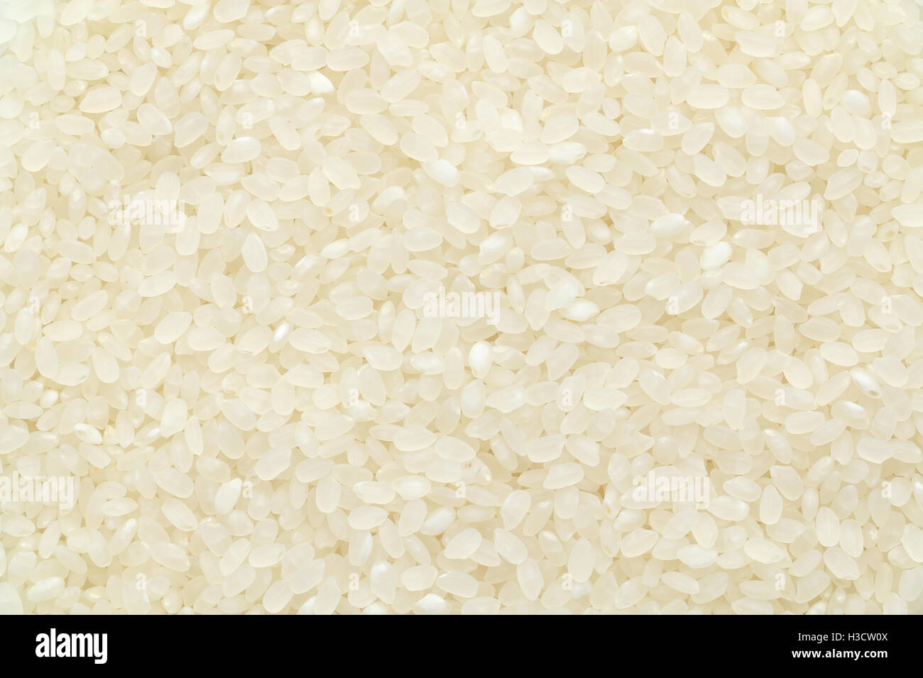 Japanese grain rice texture background Stock Photo - Alamy
