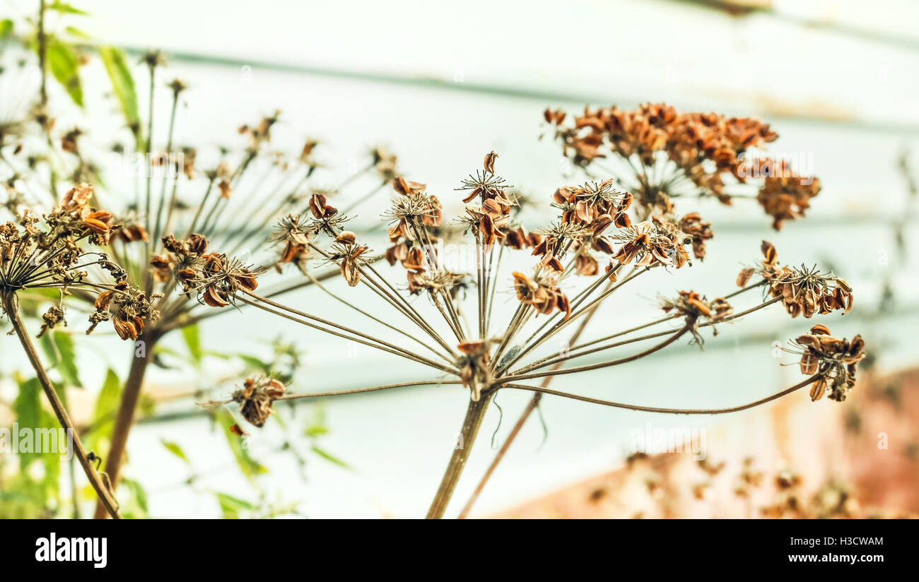 Nice and dry hi-res stock photography and images - Alamy