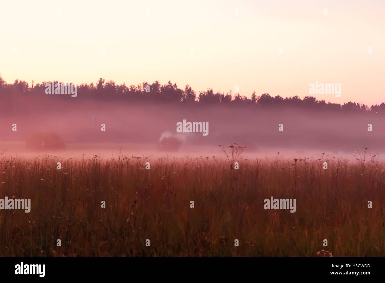 Pink fog hi-res stock photography and images - Alamy