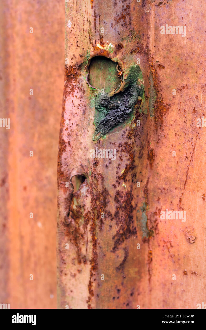 Vertical rust on metal at day condition Stock Photo - Alamy
