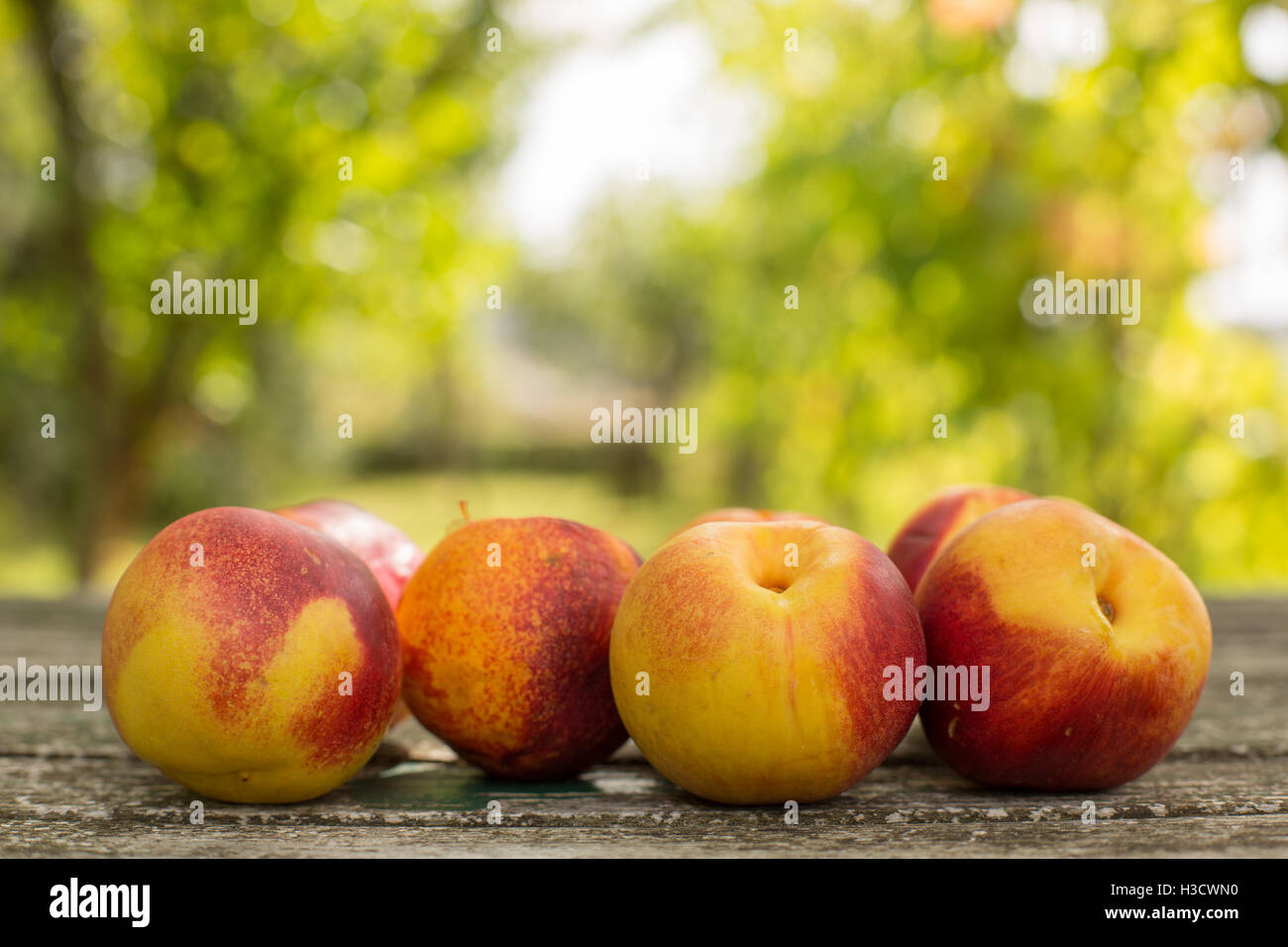 Outdoor peach hi-res stock photography and images - Alamy