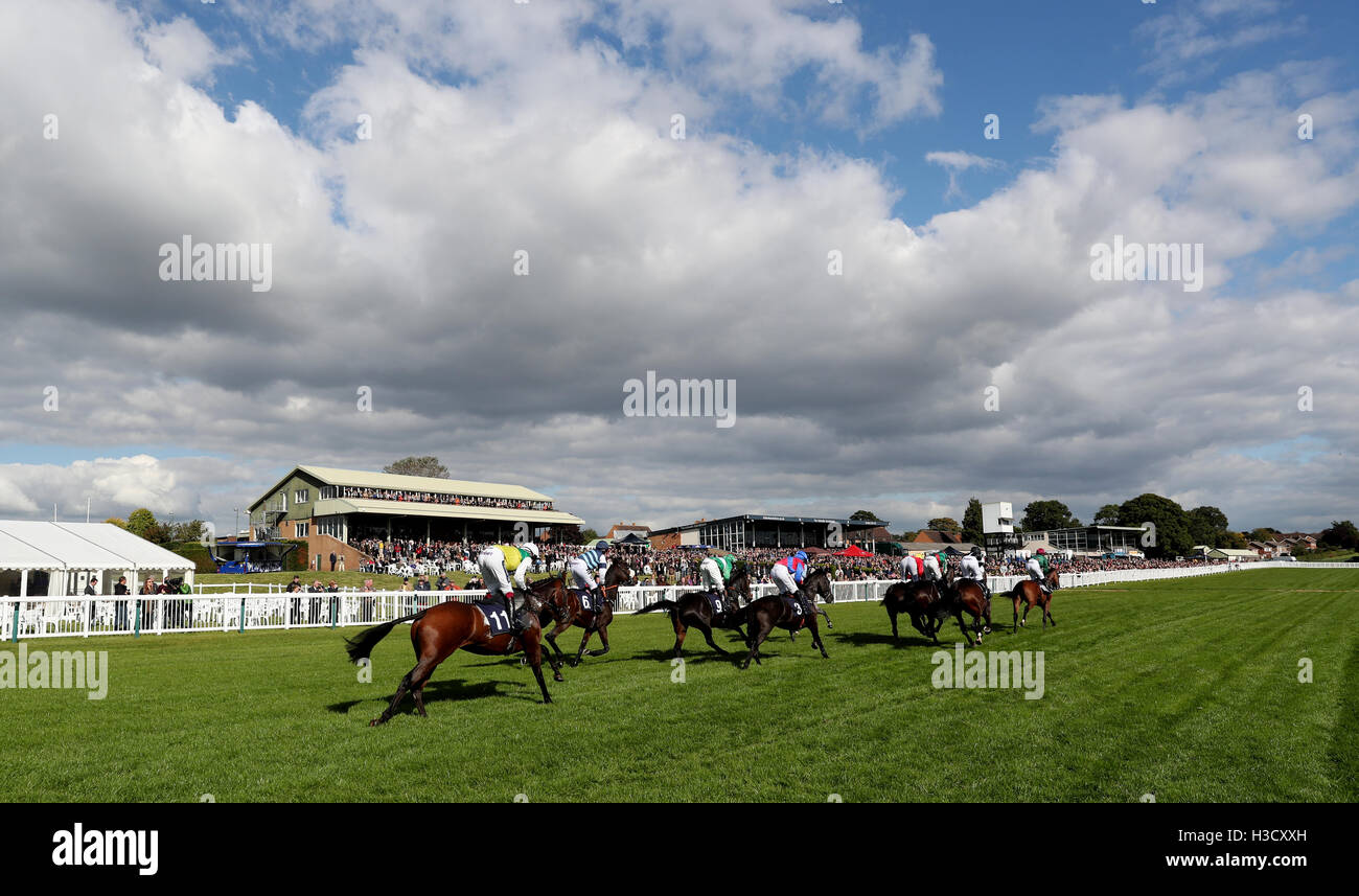 National studs hi-res stock photography and images - Alamy