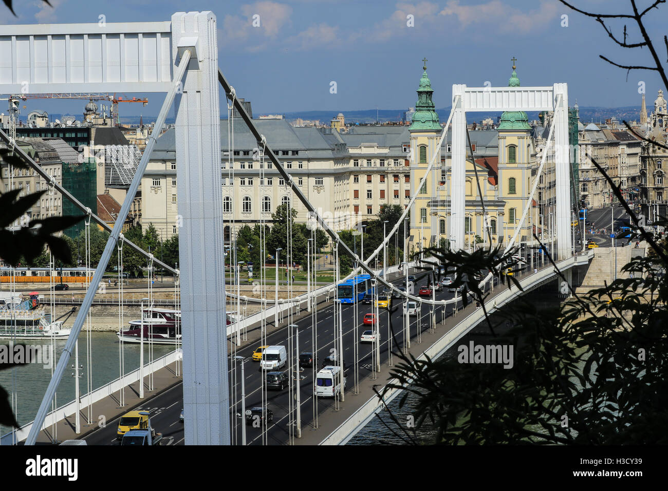 Budapest, Elizabeth bridge over Danube river, close up Stock Photo - Alamy