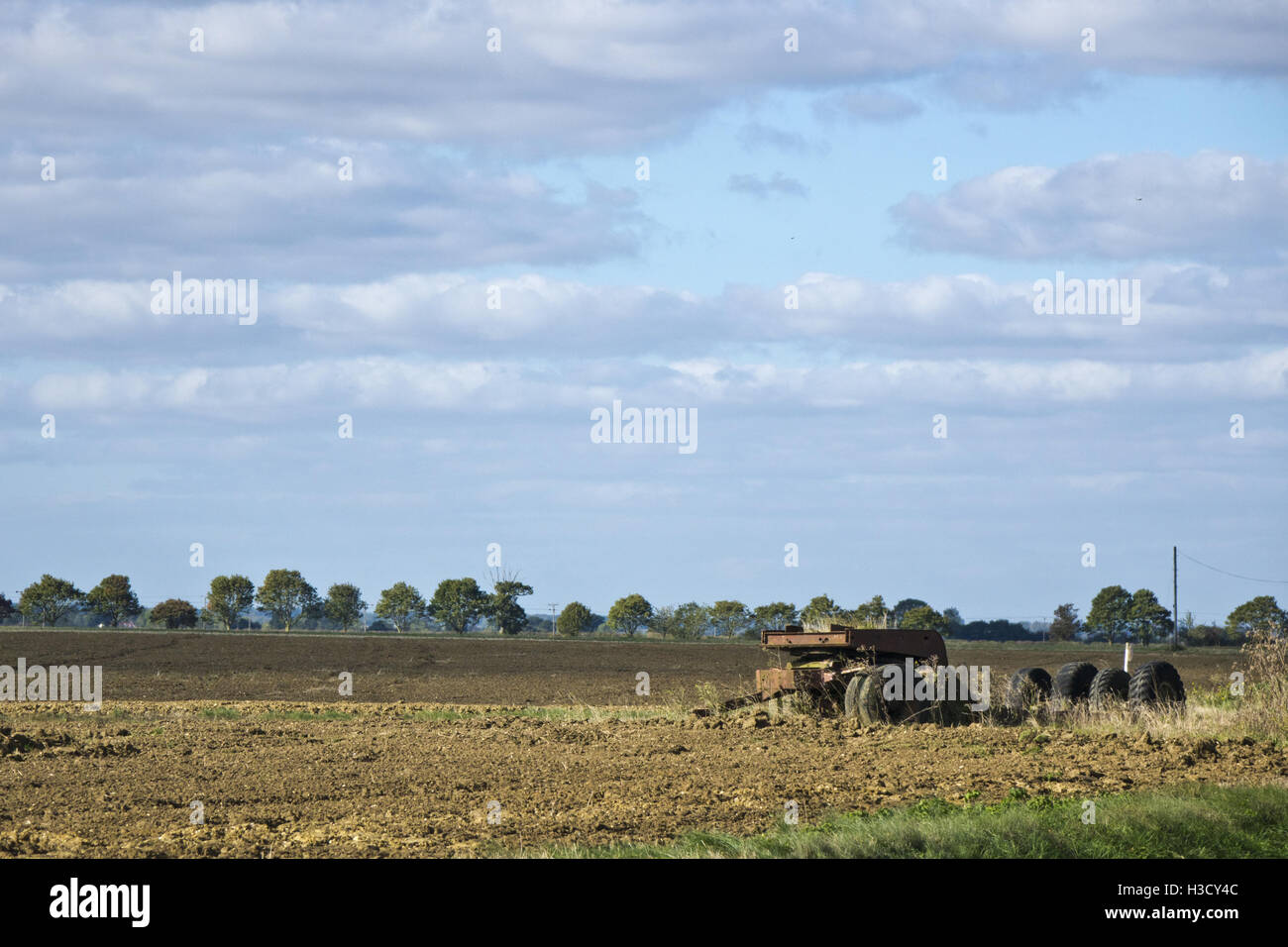 Large open field hi-res stock photography and images - Alamy