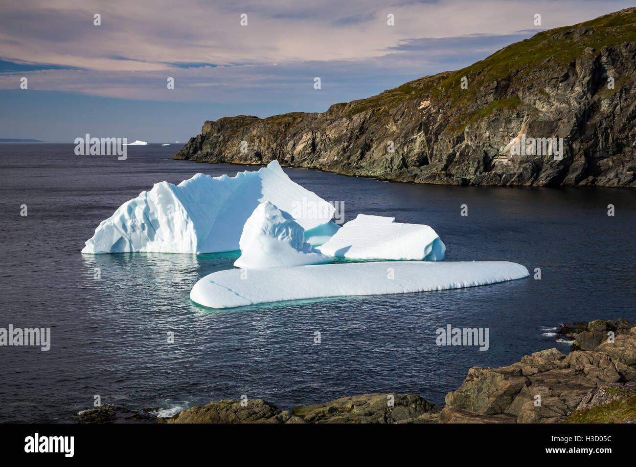 North Atlantic Ocean Icebergs