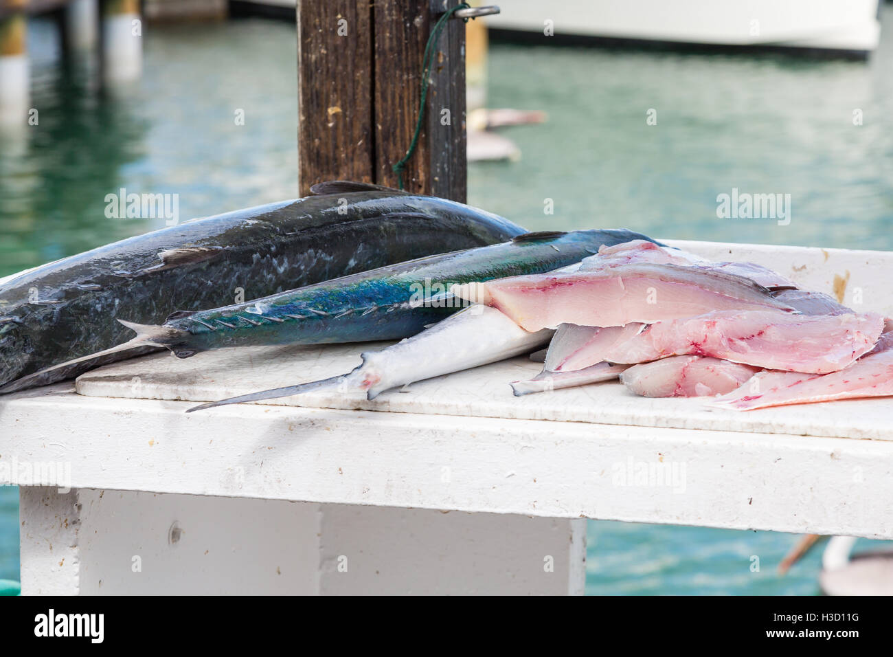 Whole and Filleted Fish on Table Stock Photo - Alamy