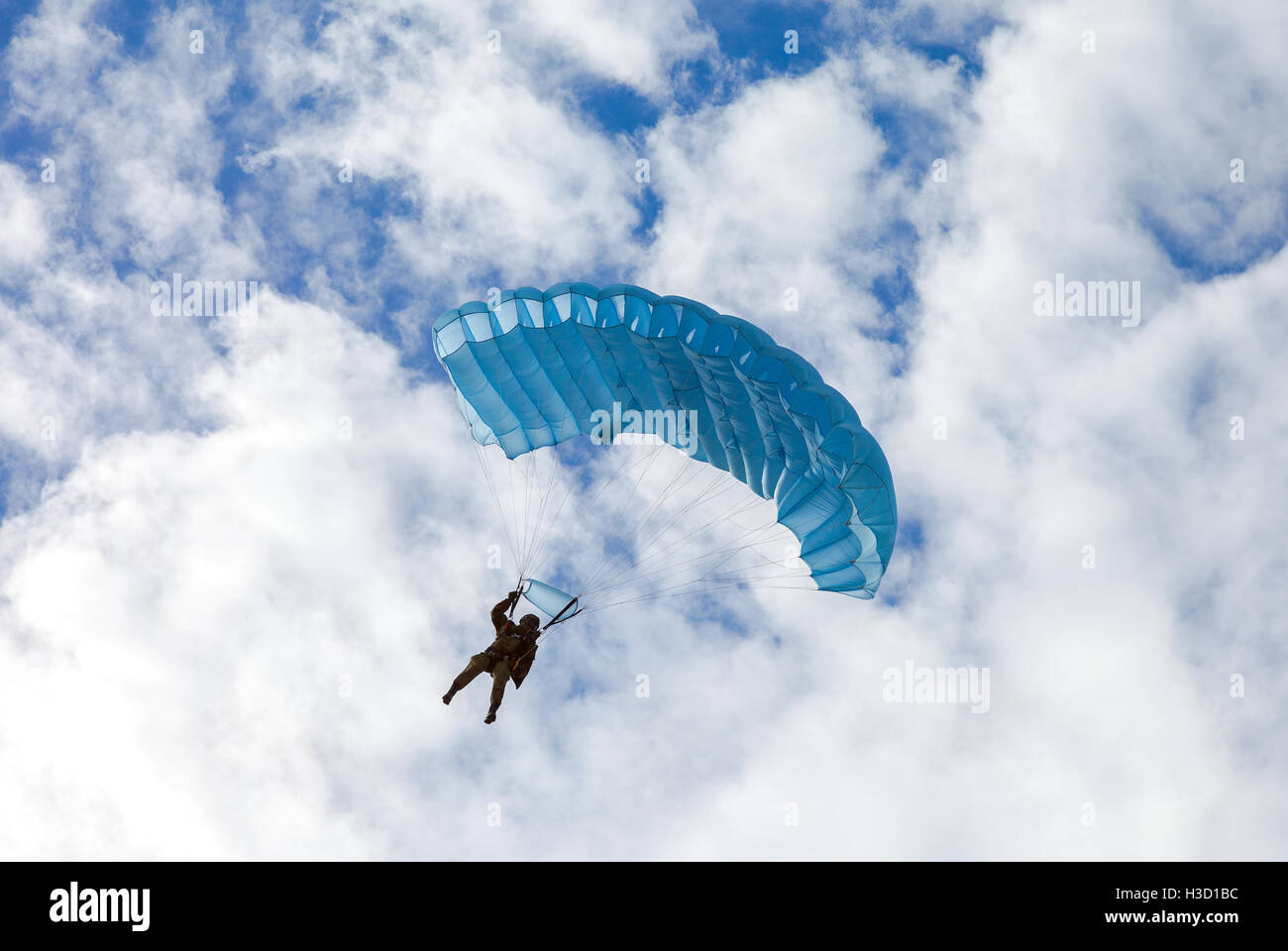 Single military parachute jumper on a blue wing parachute on blue sky ...