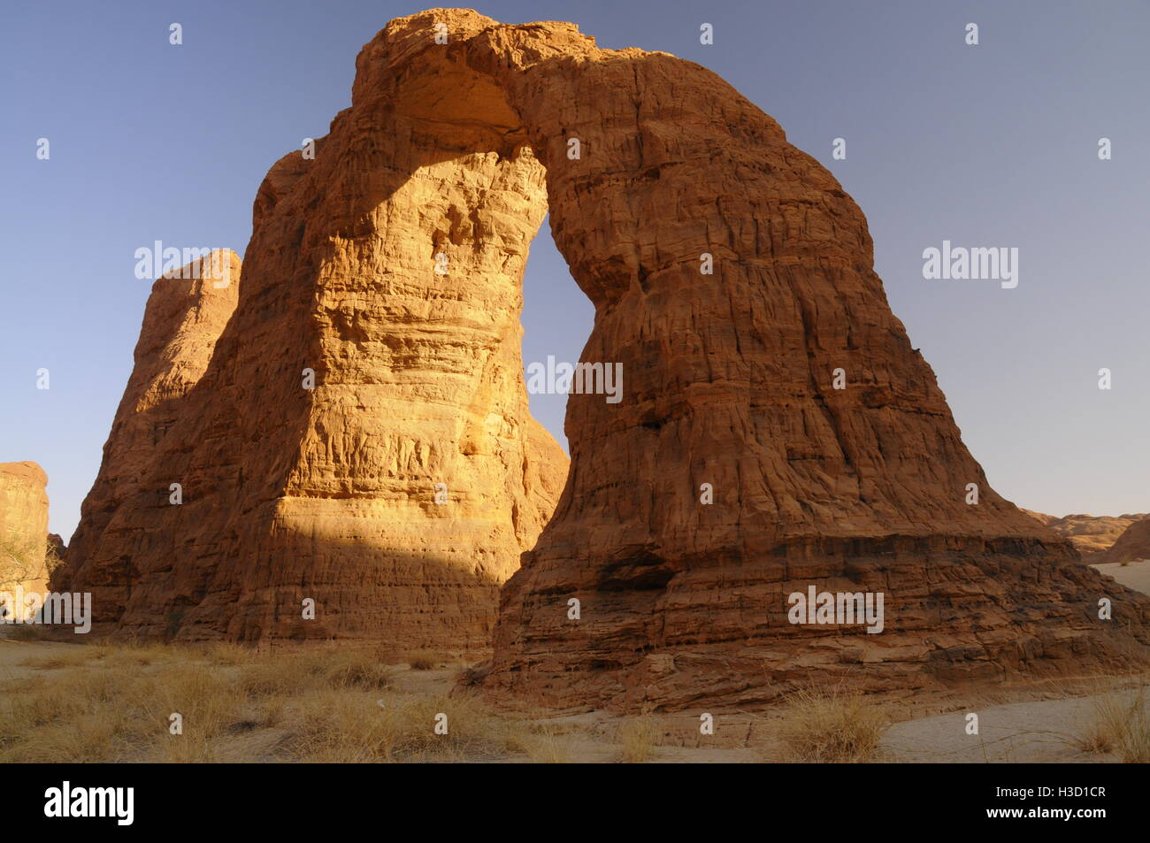 The Elephant Arch in Ennedi, Chad Stock Photo - Alamy