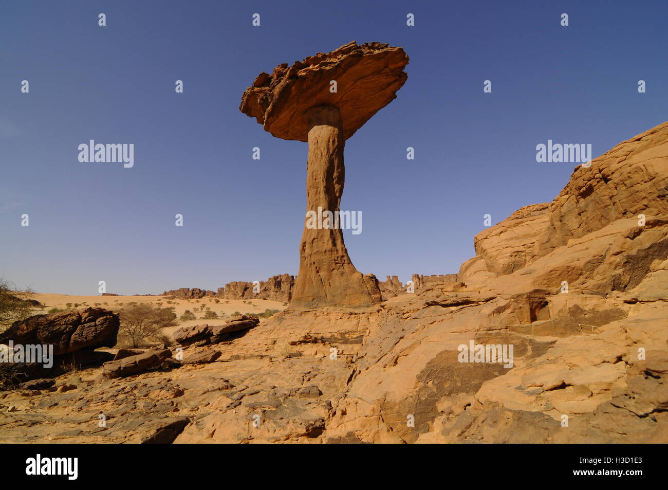 Chad africa landscape hi-res stock photography and images - Alamy