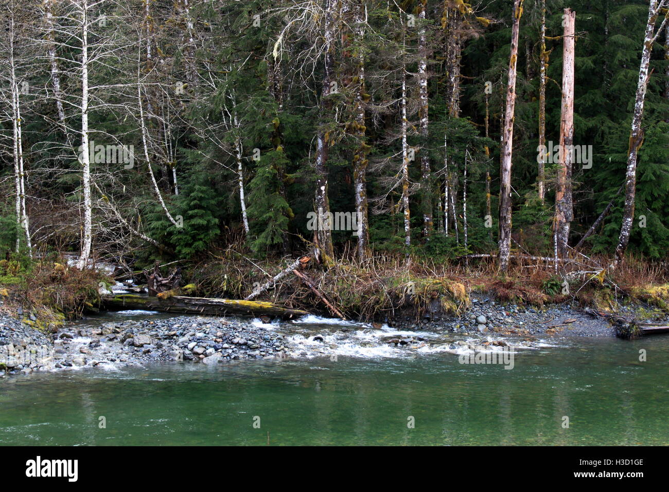 mountain lake shoreline Stock Photo - Alamy
