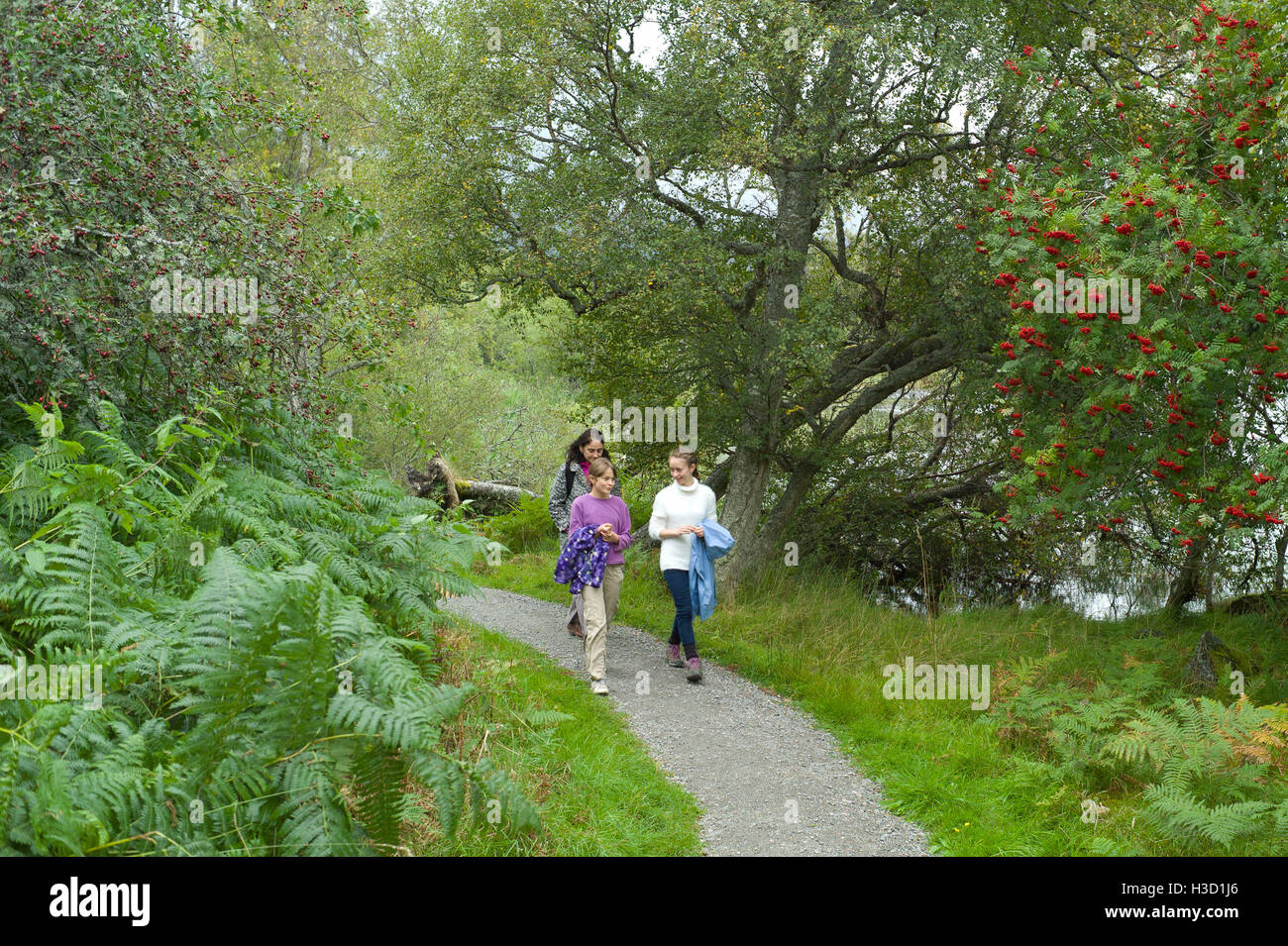 Muir of dinnet family hi-res stock photography and images - Alamy