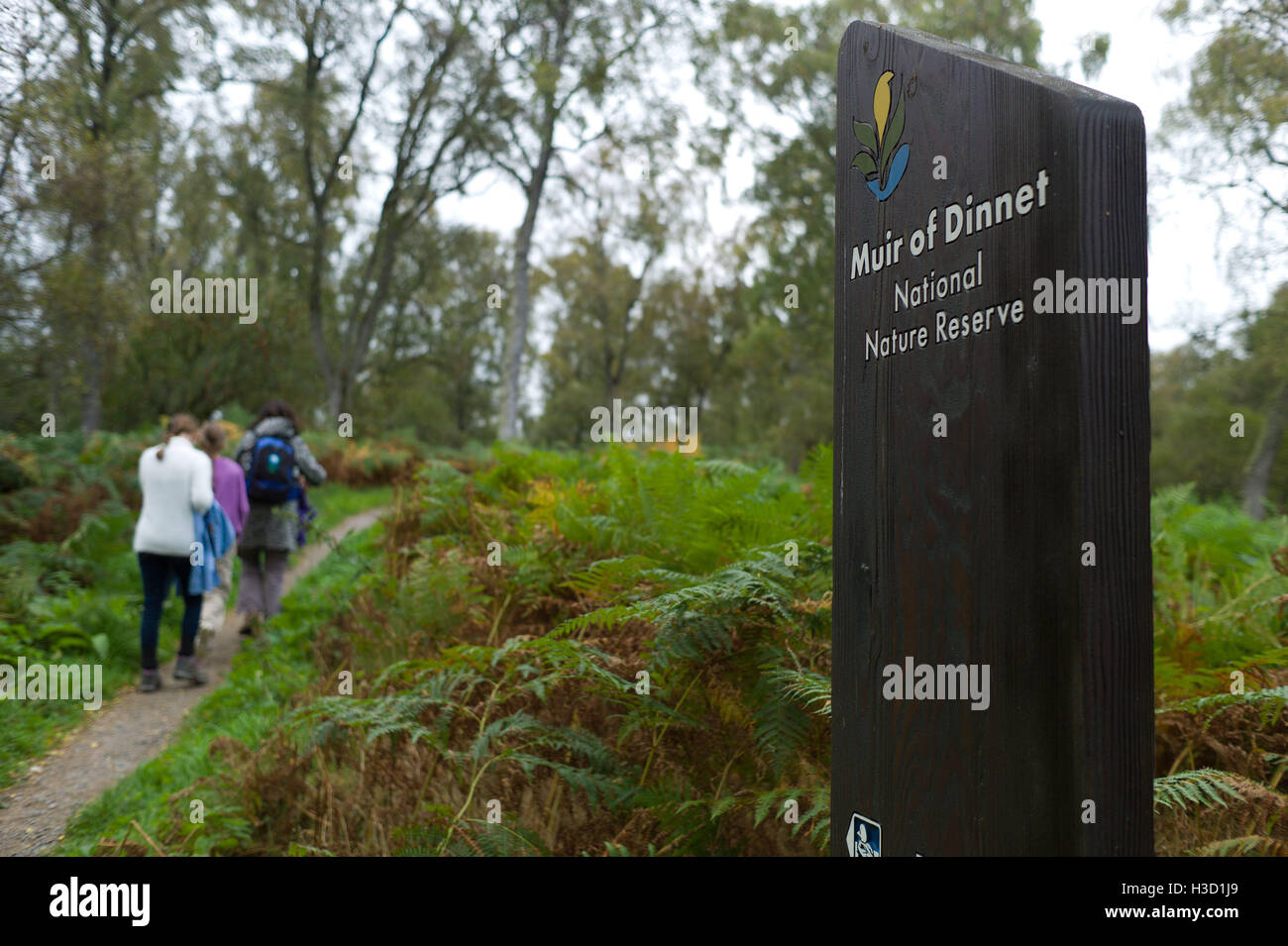 Loch Kinord and Muir of Dinnet National Nature Reserve near Ballater ...