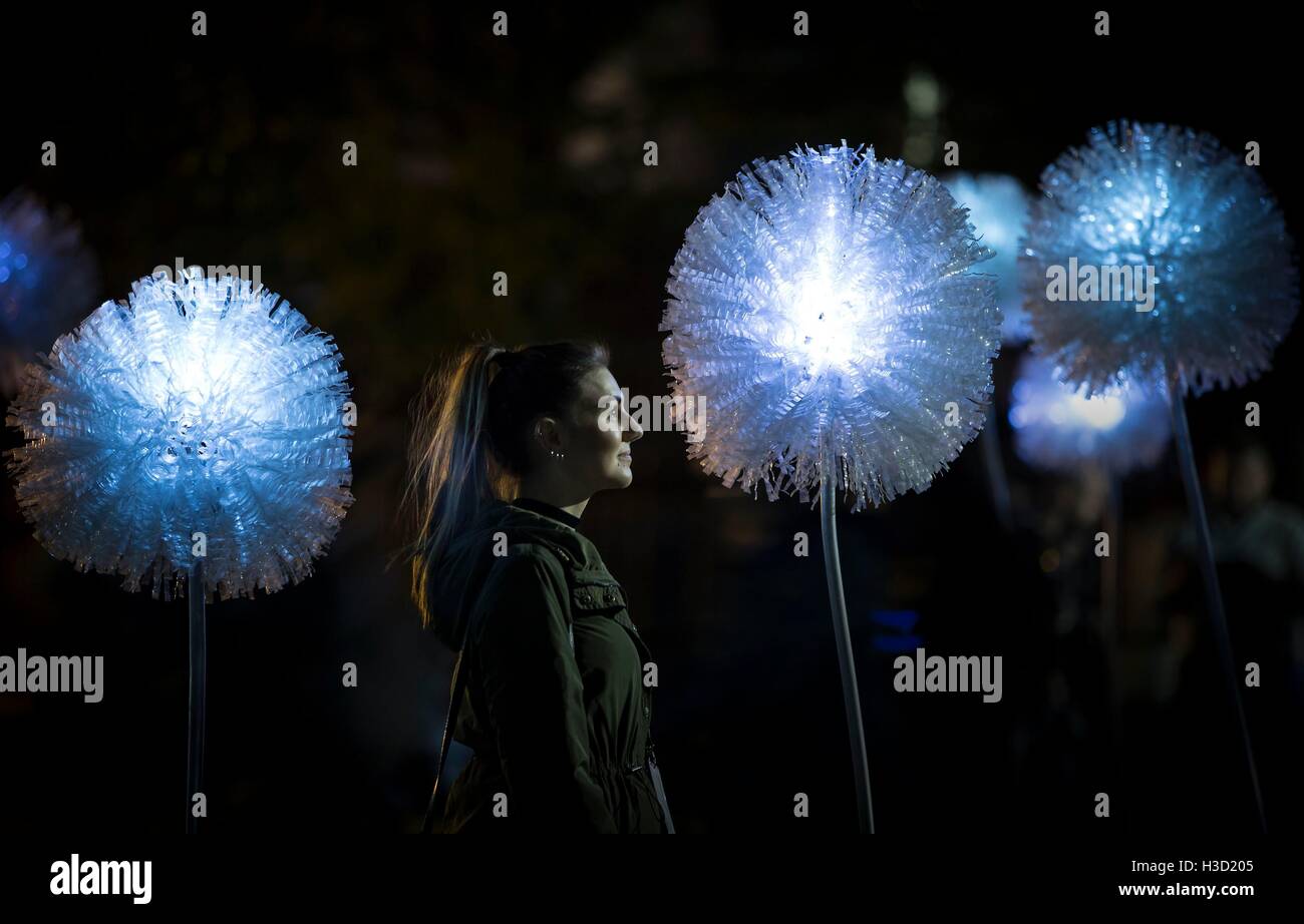 Olivia Rhodes walks through a forest of 90 giant lit dandelions, an art ...