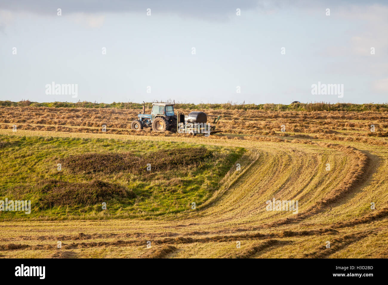 Making haylage in October on the Pembrokeshire coast Stock Photo - Alamy
