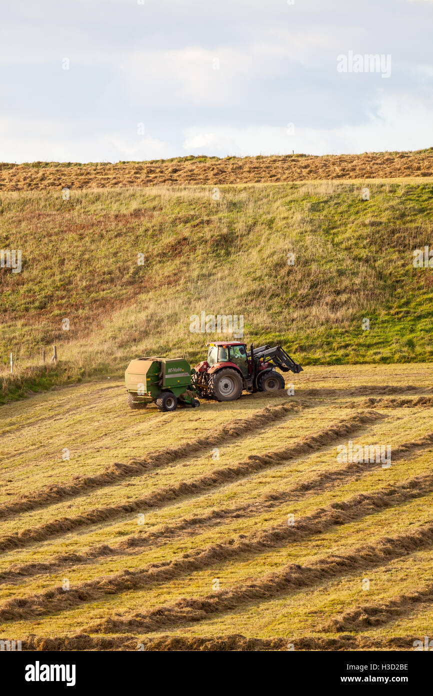 Making haylage in October on the Pembrokeshire coast Stock Photo - Alamy