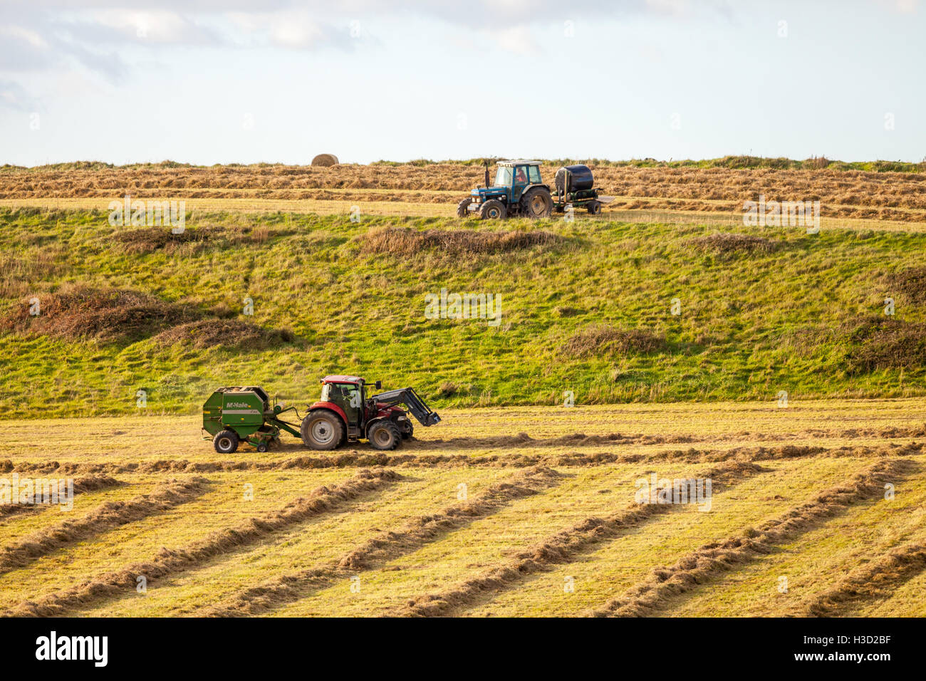 Making haylage in October on the Pembrokeshire coast Stock Photo - Alamy