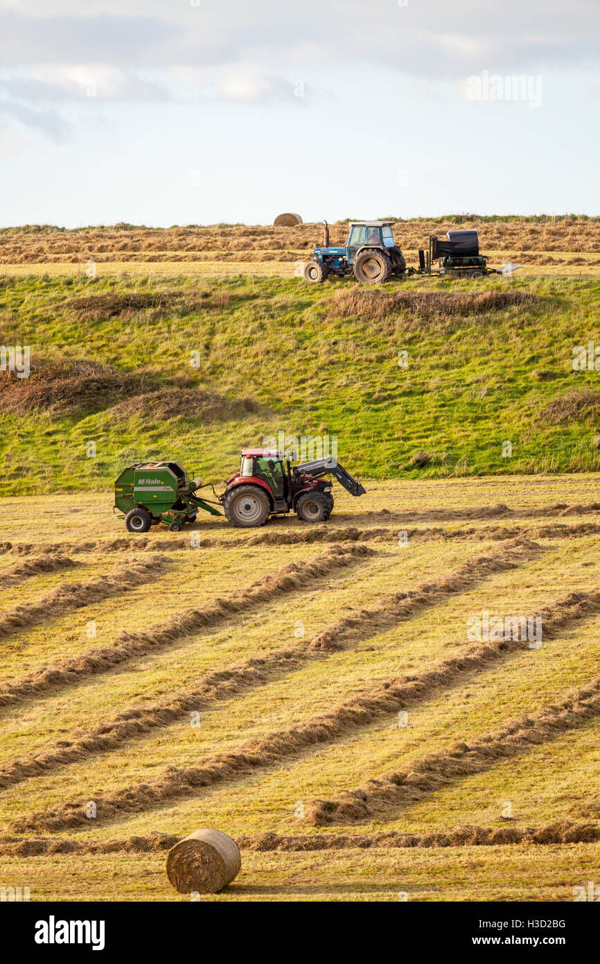 Making haylage in October on the Pembrokeshire coast Stock Photo - Alamy
