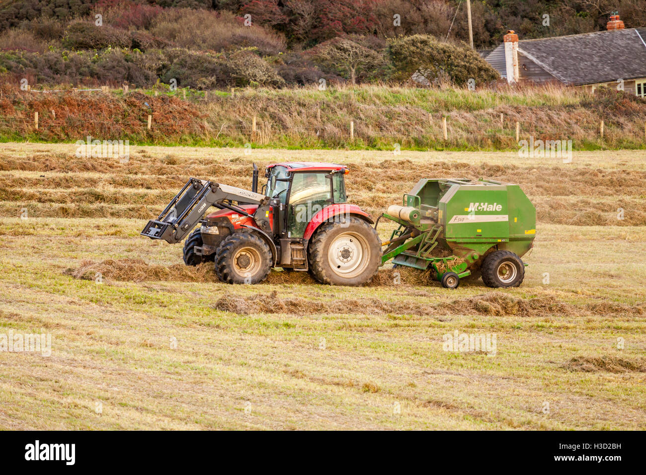 Making haylage in October on the Pembrokeshire coast Stock Photo - Alamy