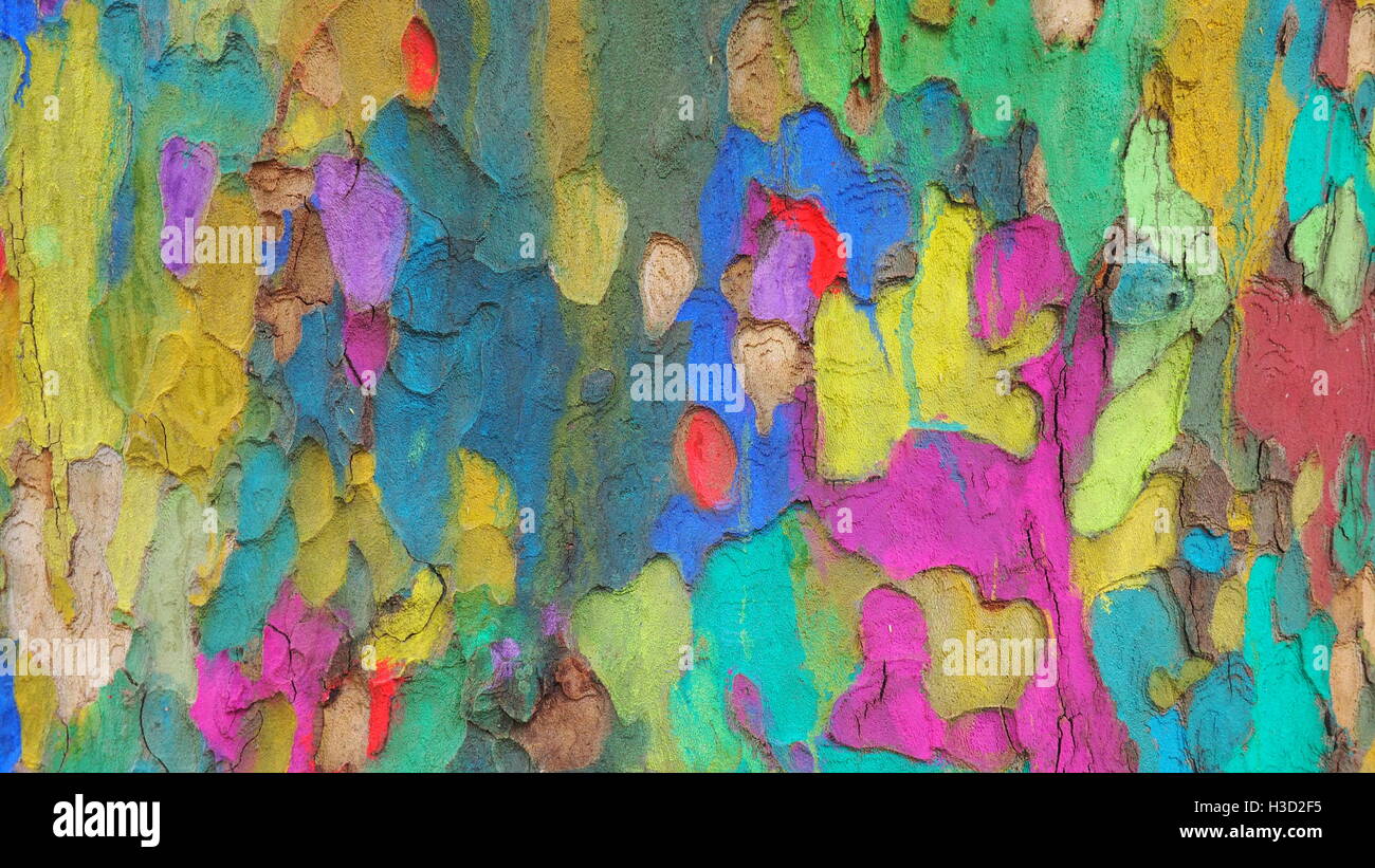 Colorful Tree Bark Stock Photo - Alamy