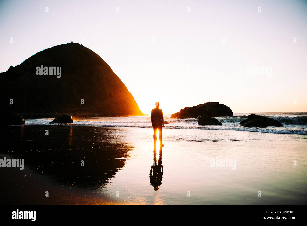 Rear view of man standing at beach during sunset Stock Photo - Alamy