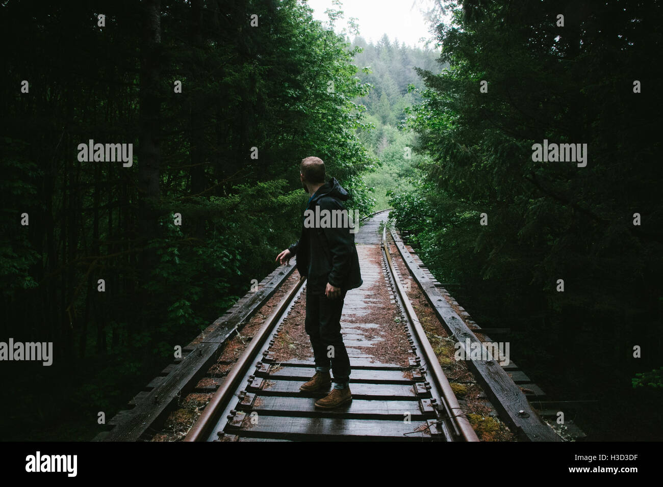 Side view of man looking over shoulder on railway tracks amidst trees ...