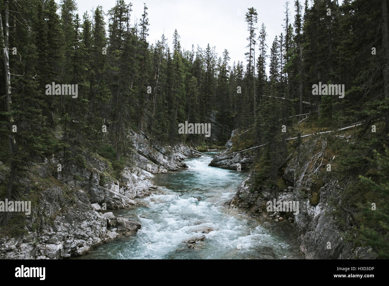 Scenic trees and rocks hi-res stock photography and images - Alamy