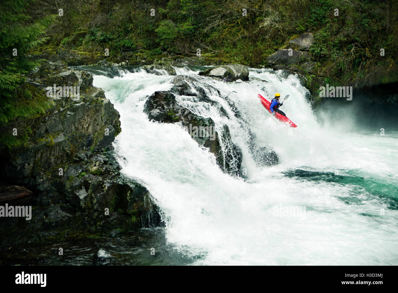 Kayaker descending from waterfall in forest Stock Photo - Alamy