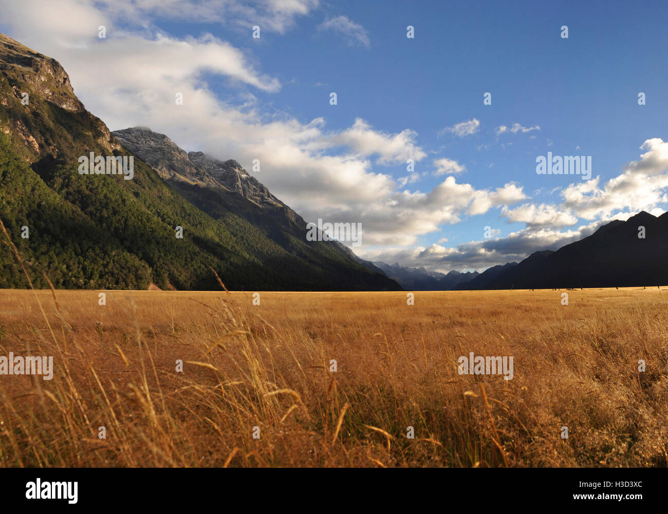 Sunny farm landscape hi-res stock photography and images - Alamy