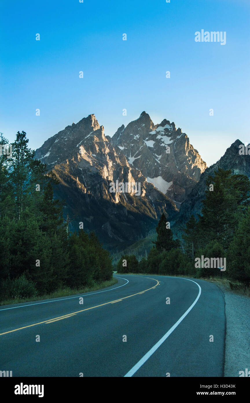 Empty road trees clear sky asphalt hi-res stock photography and images ...