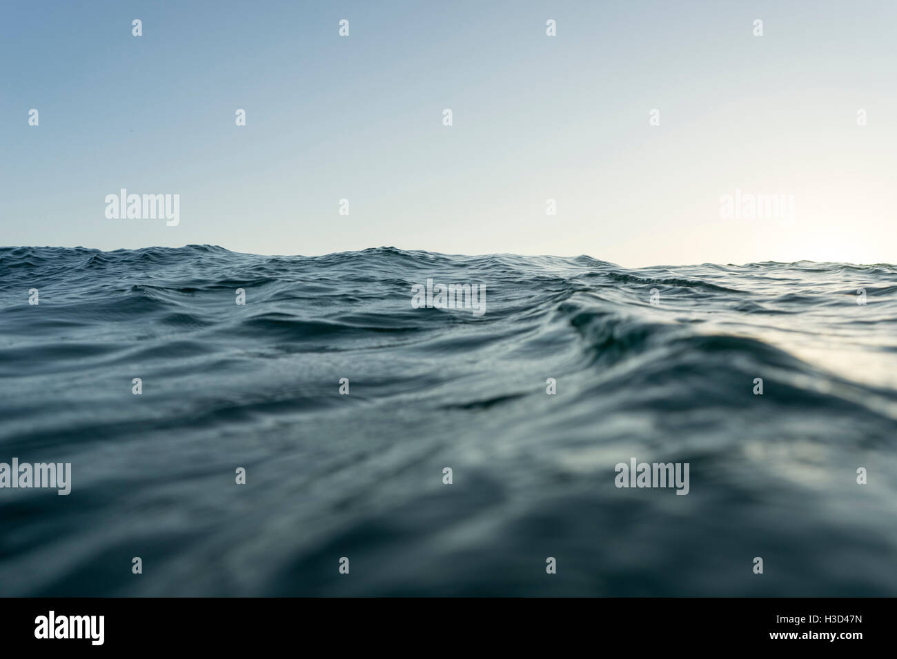 Surface level of sea against clear sky Stock Photo - Alamy