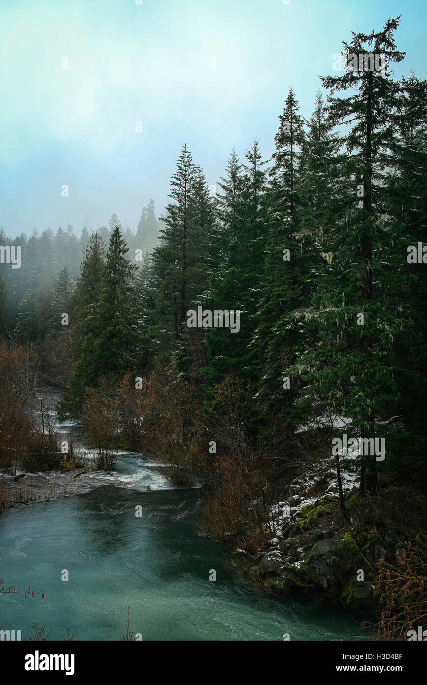 Growing fog hi-res stock photography and images - Alamy