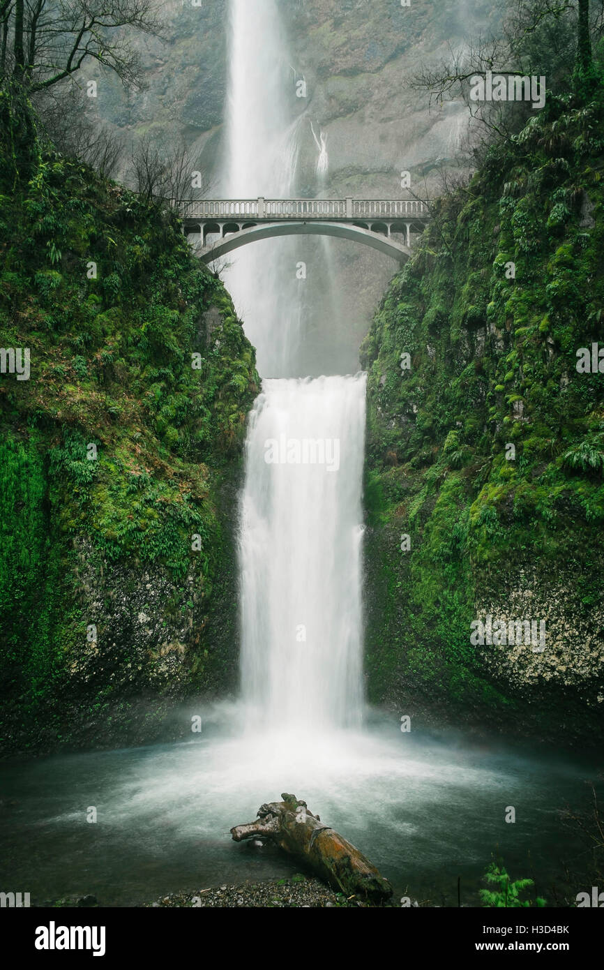 Majestic view of Multnomah Falls Stock Photo - Alamy
