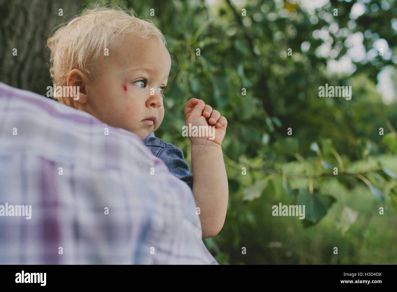 Rear view of man carrying baby boy Stock Photo - Alamy