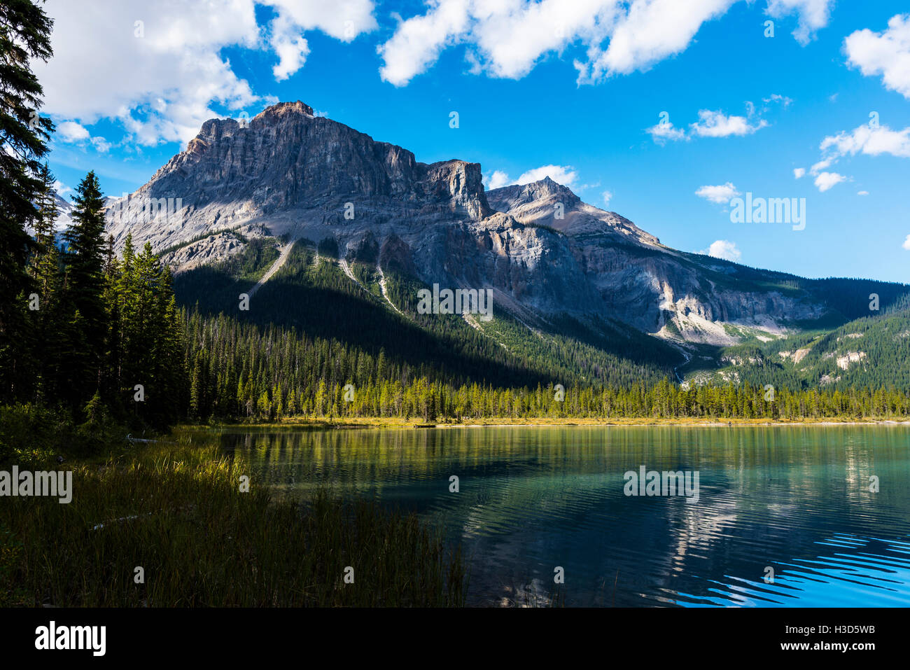 Emerald Lake, Yoho National Park Stock Photo - Alamy