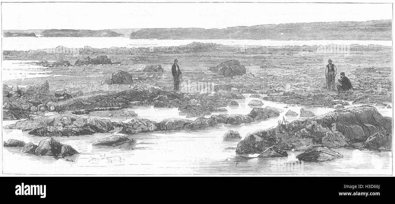 Impending war hi-res stock photography and images - Alamy