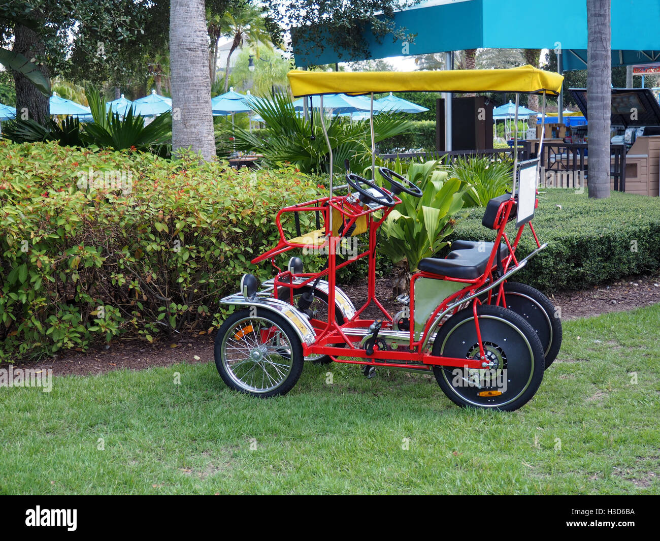 Asian Human Surrey Cart