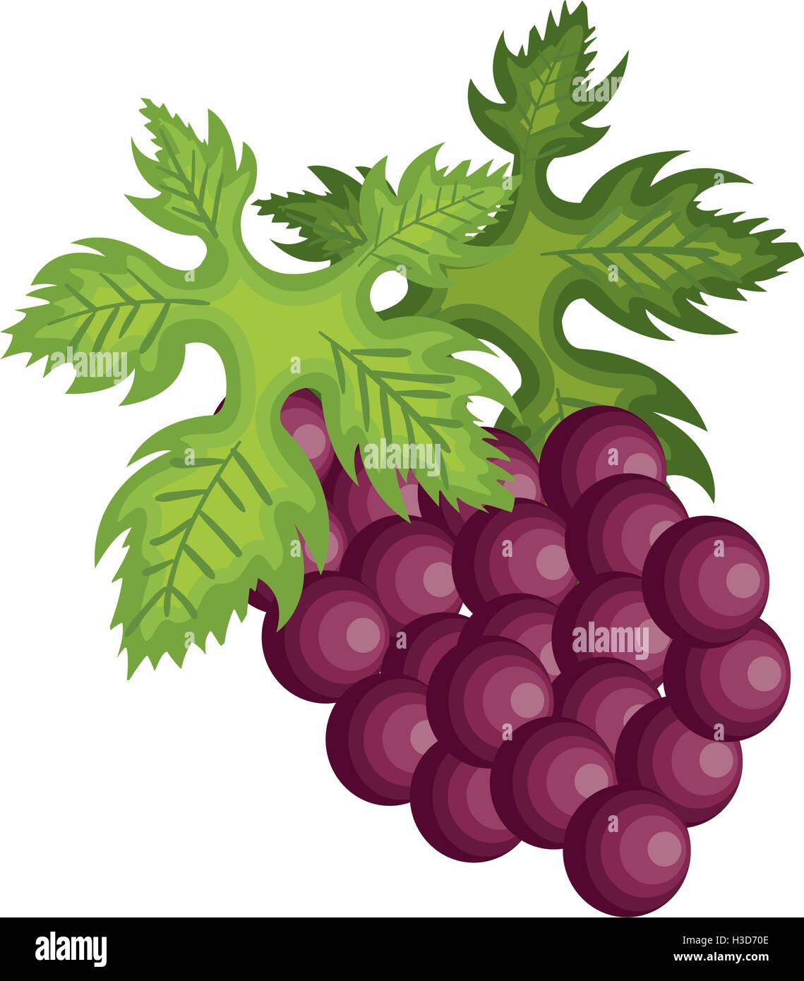 grapes fruit design Stock Vector Image & Art - Alamy