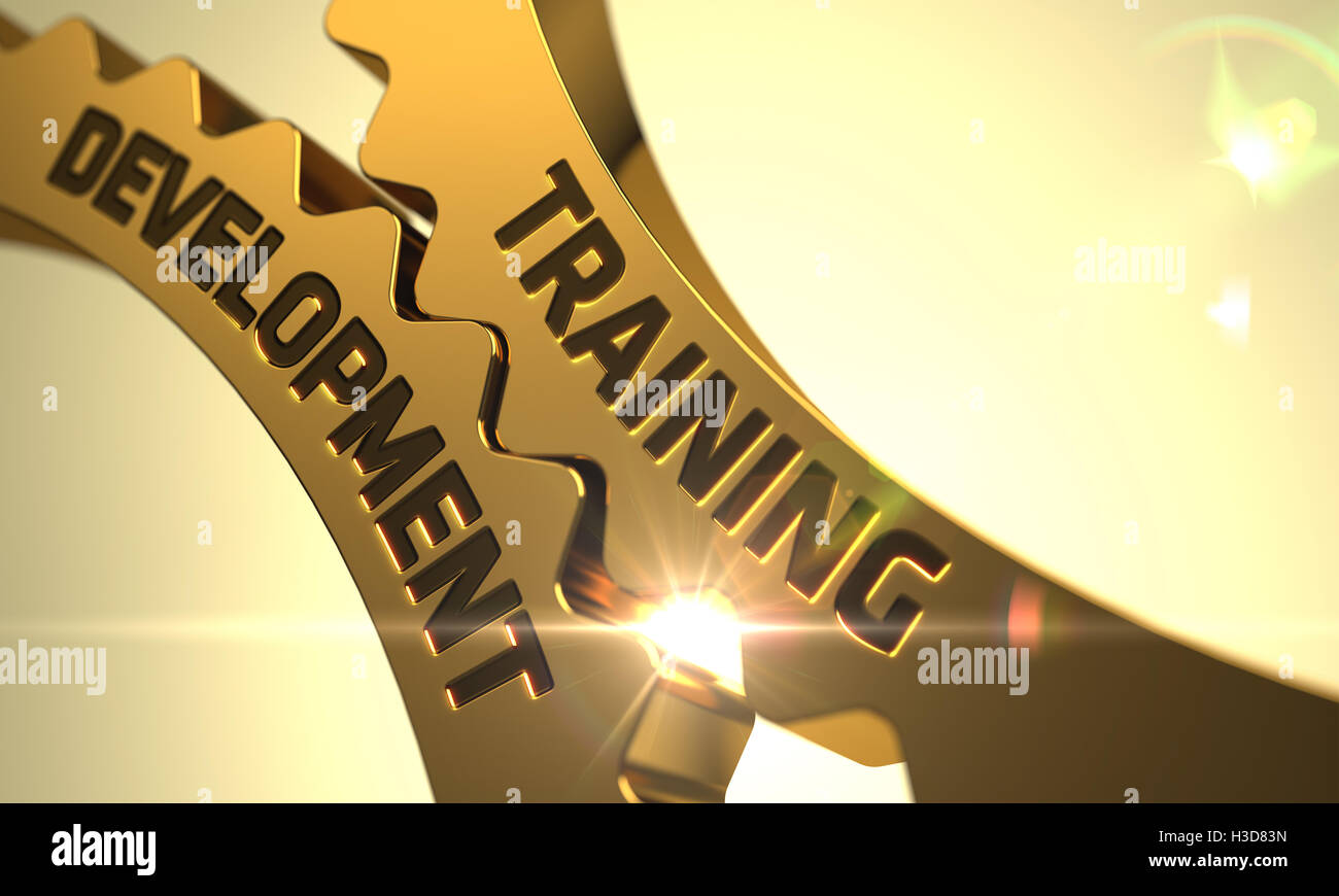 Training and development hi-res stock photography and images - Alamy