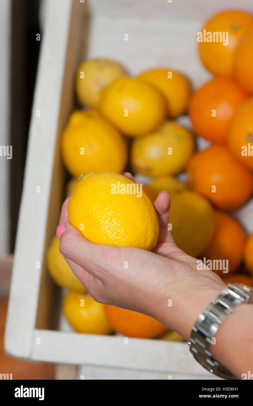 Grocery selection hi-res stock photography and images - Alamy