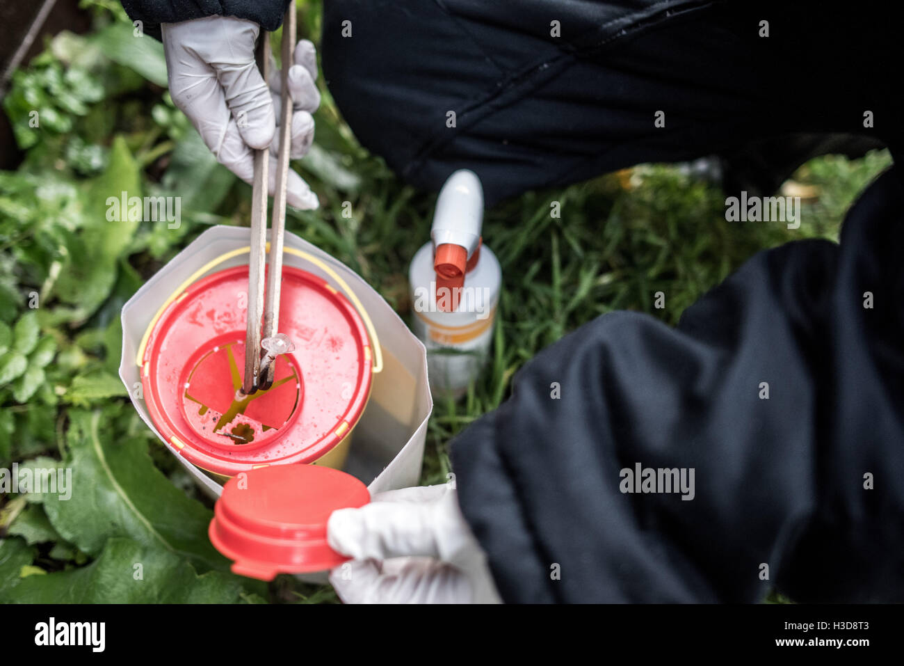syringe needle, Ostrava Municipal Police officer Stock Photo - Alamy