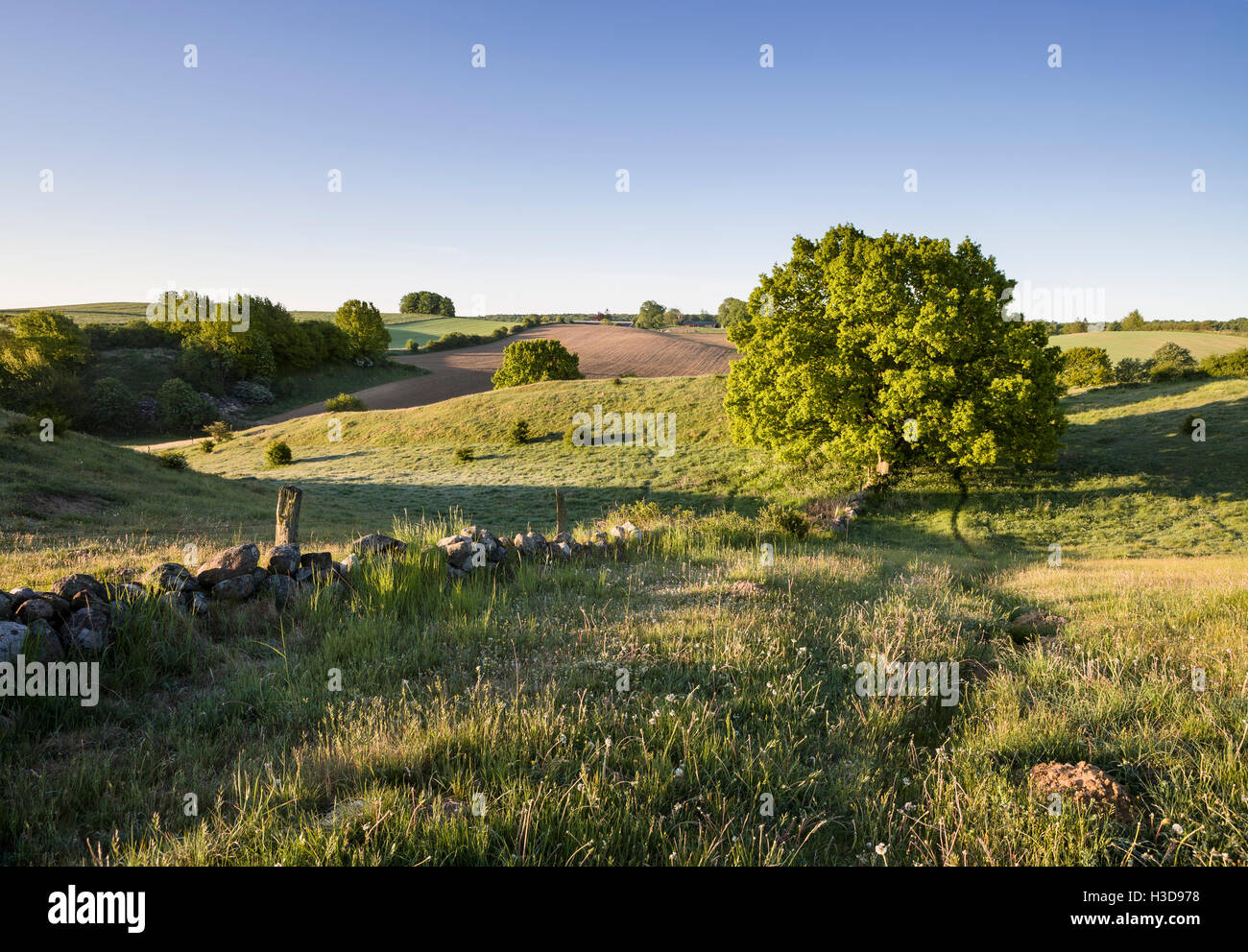 Brosarps backar nature reserve hi-res stock photography and images - Alamy