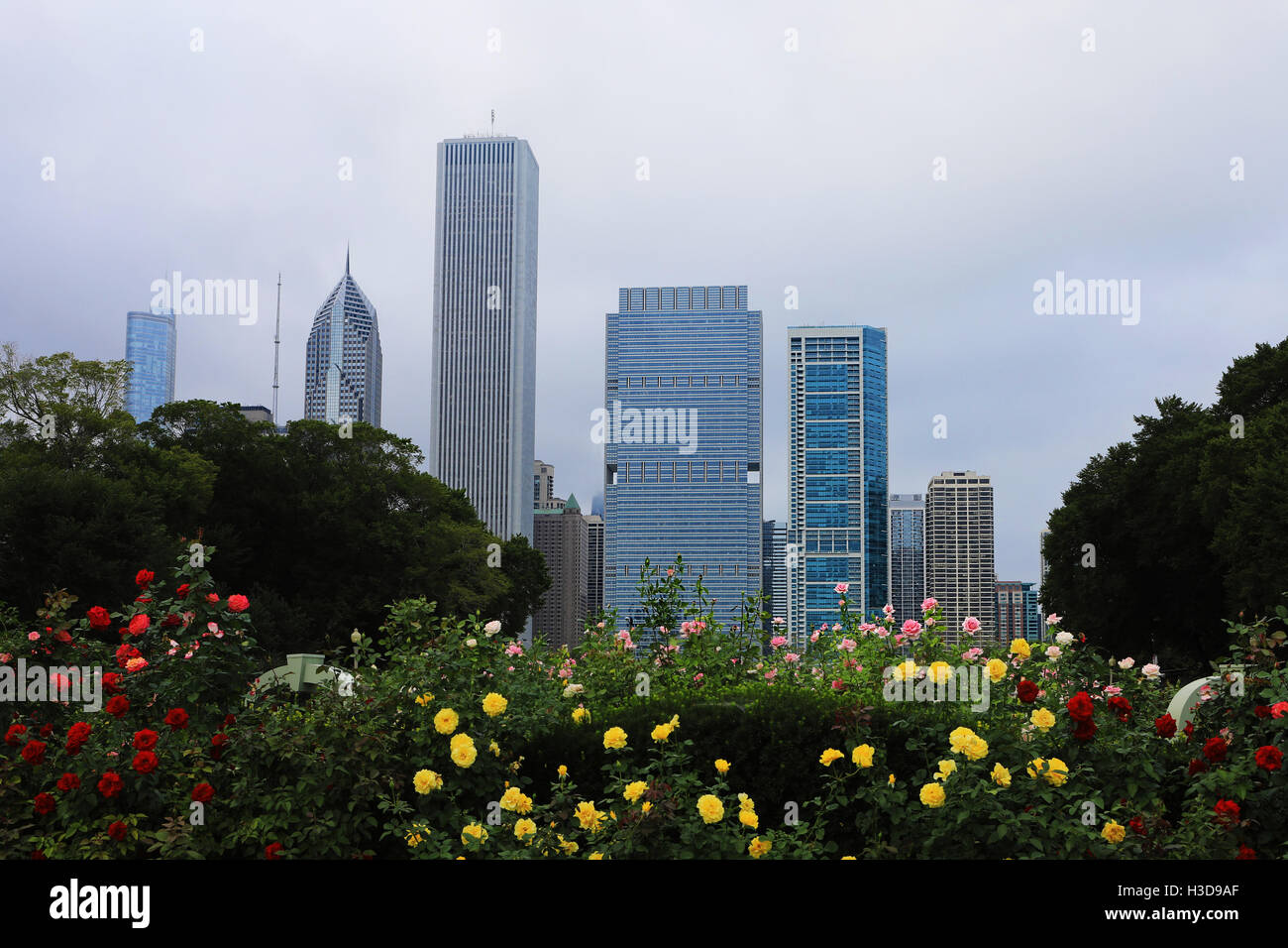 A View of Chicago city center with flowers in front Stock Photo - Alamy