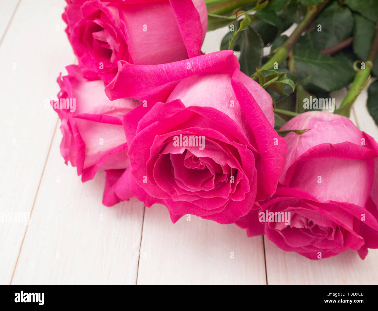 White rustic background with pink roses Stock Photo - Alamy